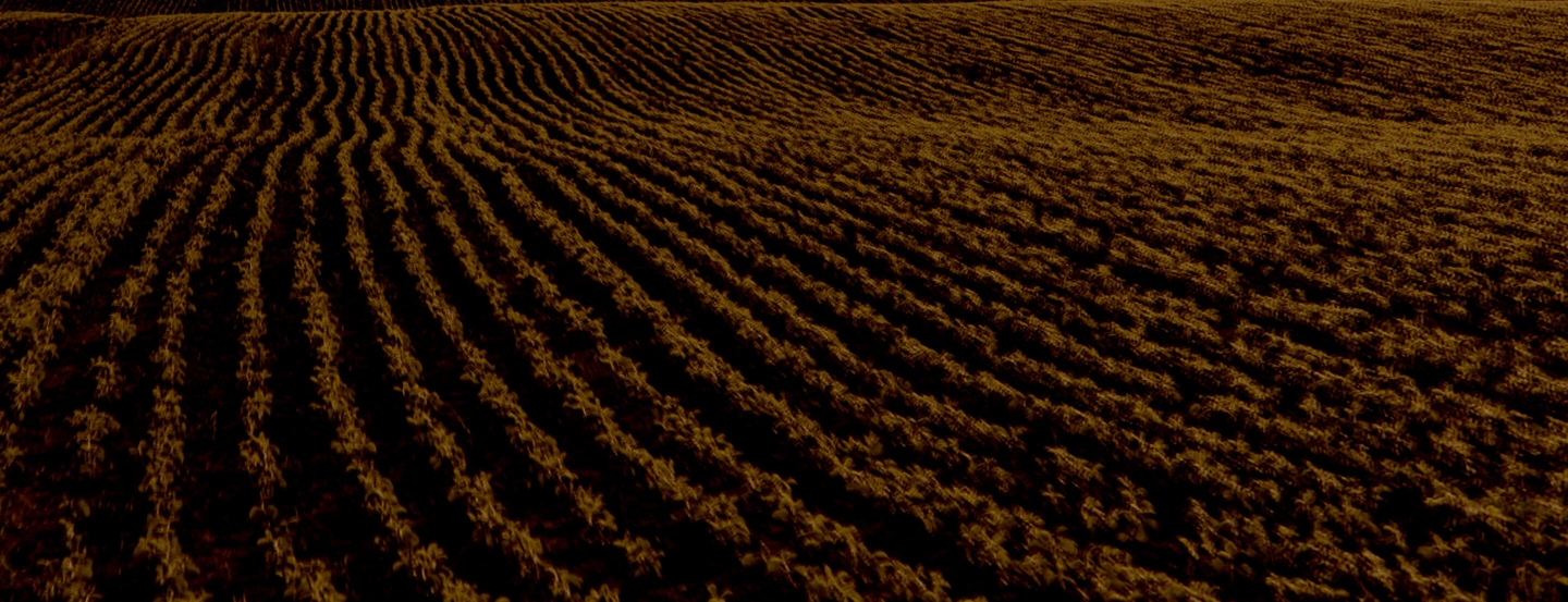 Pursuing Land | National Museum of African American History & Culture.