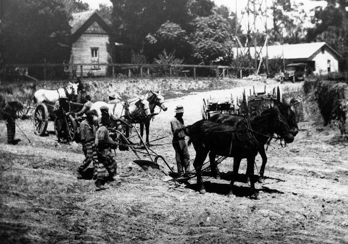 Convict Leasing | National Museum of African American History & Culture.