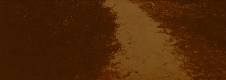 Pursuing Land | National Museum of African American History & Culture.