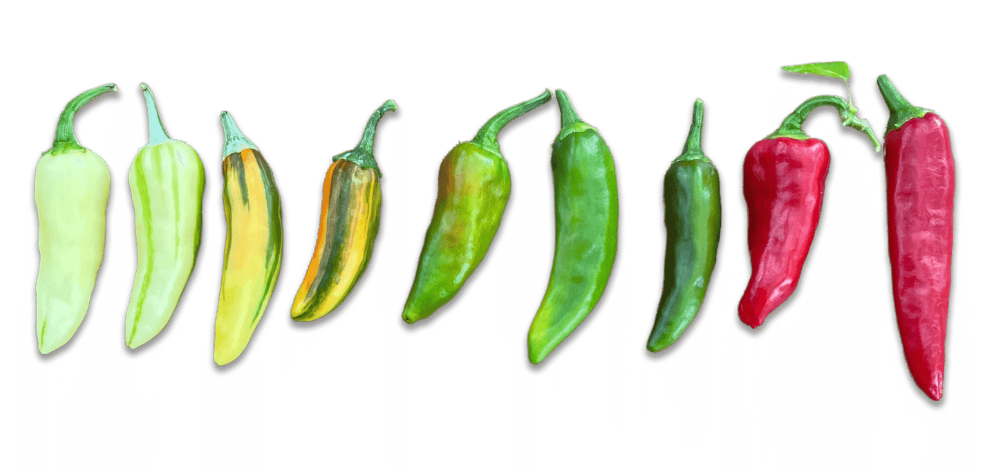 Horace Pippin’s Fish Peppers | National Museum of African American ...