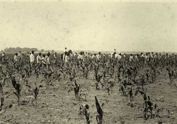 Working After Slavery | National Museum of African American History ...