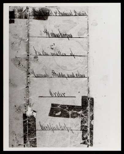 Bridget “Biddy” Mason | National Museum of African American History ...