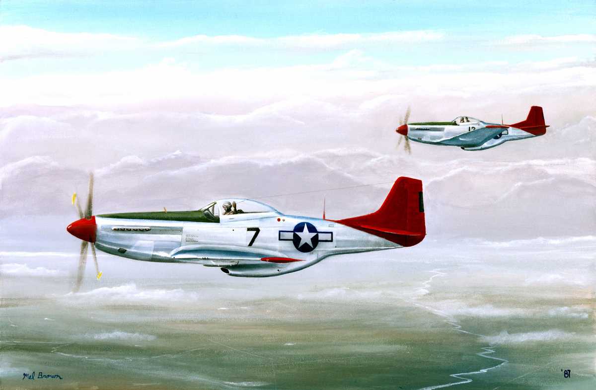 “Red Tails” | National Museum of African American History & Culture.