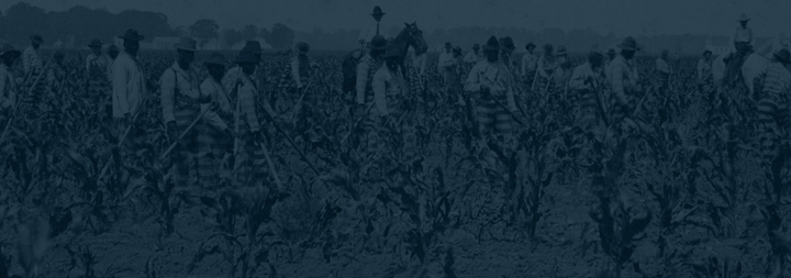 Working After Slavery | National Museum of African American History ...