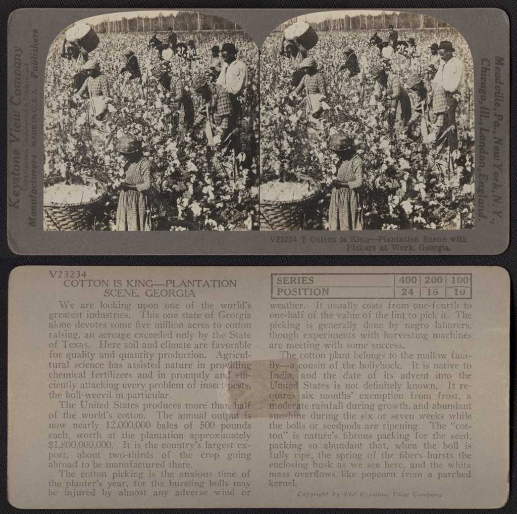 To Cultivate | National Museum of African American History & Culture.