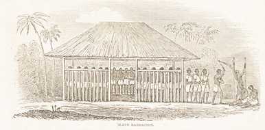 The Trauma of Transition | National Museum of African American History ...